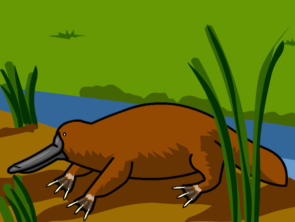 Monotrèmes Idées de Parcours Pédagogiques | enseignants