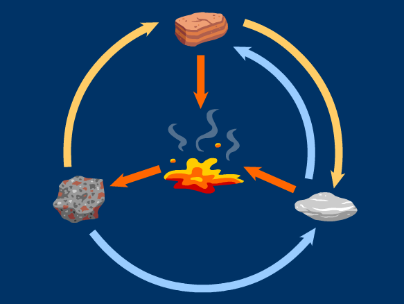 BrainPOP - Animated Educational Site for Kids - Science, Social Studies ...