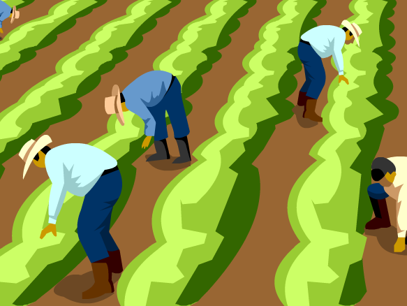 César Chávez Lesson Plans and Lesson Ideas | BrainPOP Maestros